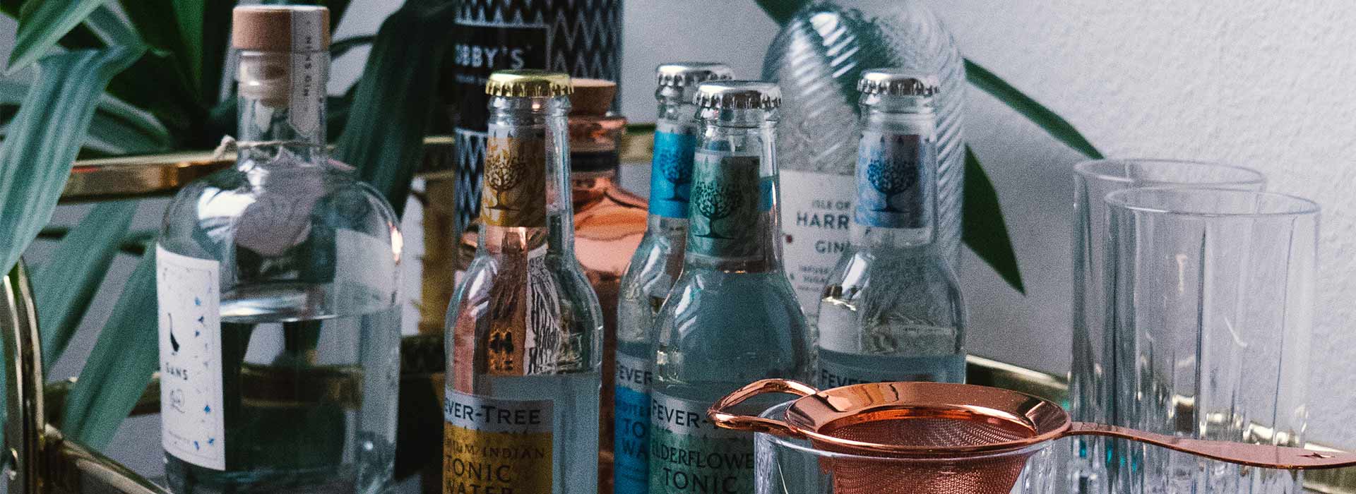 Verschiedene Gin Sorten: Diese Unterschiede gibt es – Genussmeister Berlin